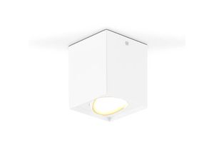 4037293029902 - EVN Kardanus LED-Deckenleuchte 9x9cm weiß