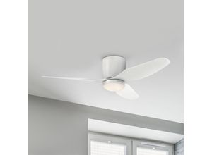 4895105612847 - - Deckenventilator Carla 117 cm mit led und Fernbedienung