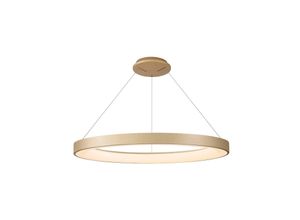 8435153285738 - LED-Hängeleuchte Niseko II Fernbedienung Ø 65cm goldfarben