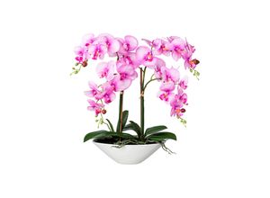 4064118051329 - Kunstorchidee GASPER Kunstpflanzen Gr B H 35 cm x 53 cm 1 St pink Kunst-Orchideen