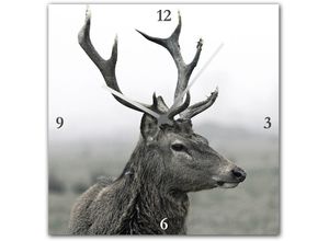 4049009157557 - Wanduhr HOME AFFAIRE Hirsch Wanduhren Gr B H L 30 cm x 30 cm x 4 cm grau Wanduhren eckig aus Glas