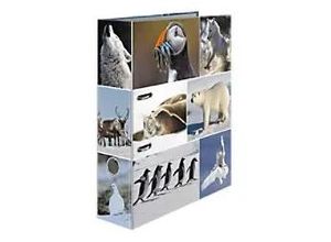 4008705920322 - HERMA Animals Ice Worlds Ordner DIN A4 70 mm Farbig sortiert 2 Ringe 7204 Pappkarton Glatt Hochformat 10 Stück