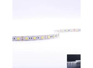 4260385827937 - Strip 12V 5M 144W m 60LED m 10mm - Lichtfarbe Kaltweiß 6000K - Schutzart IP20