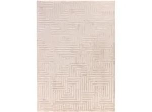 4057651822341 - Teppich AYYILDIZ TEPPICHE SAHARA 1114 Teppiche Gr B 240cm 12mm L 340cm beige Pflegeleicht Strapazierfähig Trend Colors