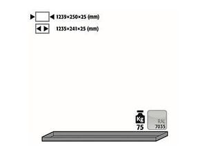 4250101139598 - Fachboden Standard für asecos Druckgasflaschenschränke Stahlblech lichtgrau B 1239 x T 250 x H 25 mm bis 75 kg