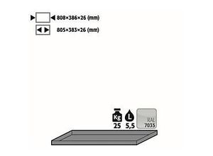 4250101139994 - Wannenboden Standard für asecos Chemikalienschränke Stahlblech lichtgrau B 808 x T 386 x H 50 mm 85 l bis 25 kg