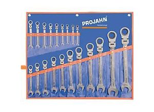 4000146035023 - Projahn GearTech Schlüssel Satz Rolltasche 20-tlg flexibel 6 - 7 - 8 - 9 - 10 - 11 - 12 - 13 - 14 - 15 - 16 17 - 18 - 19 - 21 - 22 - 24 - 27 - 30 -