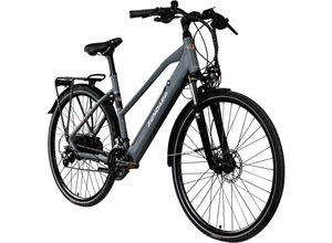 4260582293474 - Z810 E Bike Trekkingrad Damen ab 155 cm mit Nabenmotor Pedelec Trekking Fahrrad mit 24 Gang und Beleuchtung StVZO