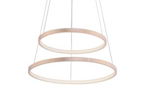 4043689960438 - Led Hängeleuchte Circle ø 50cm - Goldfarben Silberfarben - Leuchtendirekt