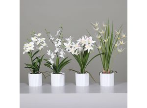 4099886042125 - Kunstblume Orchidee