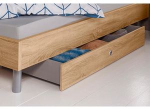 4038062069396 - Schubkasten WIMEX Easy beige (plankeneichefarben) B137cm H19cm T58cm Holzwerkstoff Schubladen auf Rollen praktische Ergänzung für Wimex Betten Easy