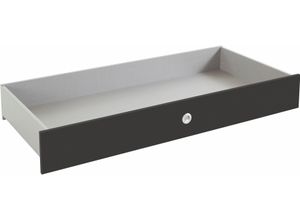 4038062101706 - Schubkasten WIMEX Easy grau (graphit) B137cm H19cm T58cm Holzwerkstoff Schubladen auf Rollen praktische Ergänzung für Wimex Betten Easy