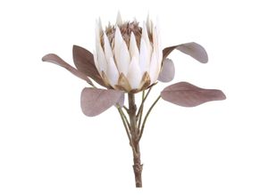 5712750274161 - Chic Antique Fleur Kunstblume Protea H66 cm creme