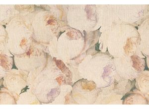 4059432179927 - Fototapete Atelier 47 Flowers 1 Tapeten Vlies Wand Schräge Decke Gr B L 4 m x 27 m rosa (rosa creme beige) Fototapeten Blumen Tapeten
