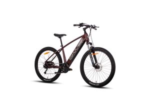 4260416583900 - SAXXX Mountainbike Everest 50 bordeaux matt 48 cm Rahmenhöhe