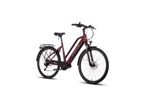 4260416585379 - SAXONETTE Deluxe Sport Lady Gang Trekking E-Bike Scheibenbremsen