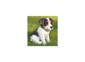 4251639208985 - Dazikemo Dekofigur Gartenfigur Jack Russel