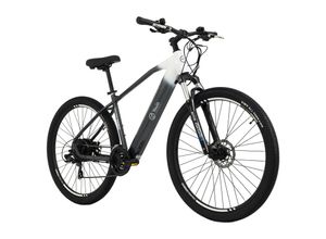 4250547533363 - TOTEM TOTEM E-MTB Hardtail 29 Youin EV-S Heckmotor 50NM   14Ah stahlgrau-weiß