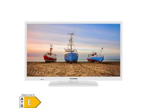 4024862123772 - TELEFUNKEN XH24N550M-W 24 Zoll Fernseher (HD Ready Triple-Tuner) weiß [2023]