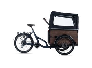 4250547532472 - Cargo E-Bike Urban Deluxe blau 250W 36V 13 Ah Li-Ion-Akku