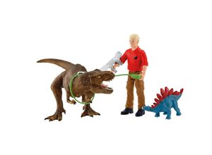 4059433574196 - Dinosaurs 41465 Tyrannosaurus Rex Angriff Spielfiguren-Set 4059433574196 Schleich