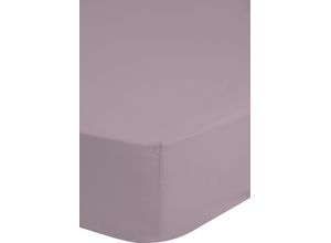 8717285203300 - Spannbettlaken GOOD MORNING Renforcé Good Morning Laken Gr B L 100 cm x 200 cm 1 St Renforcé 100 x 200 cm 25 cm rosa 100% Baumwolle Renforcé Rundumgummi bis 25 cm höhe 80x200 Weiß