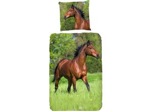 8717285175874 - Kinderbettwäsche GOOD MORNING Running horse Bettwäsche Gr B L 135 cm x 200 cm 1 St 1 St Renforcé B L 80 cm x 80 cm bunt (grün multi) Baumwolle 135x200 2 Teilig Reißverschluss Kind Mädchen Pferd