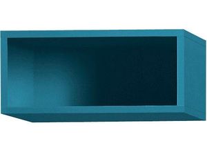 4024532719809 - Hängeregal OPTIFIT Mini Regale Gr B H T 40 cm x 192 cm x 345 cm 1 St offenes Fach blau Hängeregale Regale