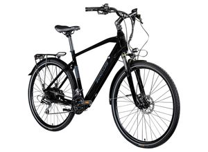 4260582295119 - Z810 E Bike Trekkingrad Herren ab 160 cm mit Nabenmotor Pedelec Trekking Fahrrad mit 24 Gang und Beleuchtung StVZO