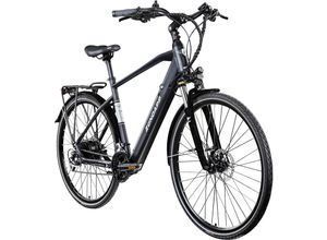 4260582293450 - Z810 E Bike Trekkingrad Herren ab 160 cm mit Nabenmotor Pedelec Trekking Fahrrad mit 24 Gang und Beleuchtung StVZO