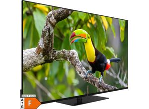 4975769478338 - LT-55VU6355 55 Zoll Fernseher   Smart TV (4K UHD HDR Dolby Vision Triple-Tuner Dolby Atmos)