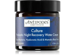 9421906120196 - Culture Probiotic Night Recovery Water Cream intensive Nachtcreme zur Revitalisierung der Haut mit Probiotika 60 ml