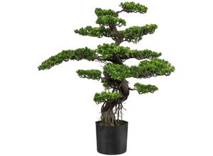 4064118039990 - Kunstbonsai CREATIV GREEN Bonsai Kunstpflanzen Gr H 90 cm 1 St grün Kunstbonsai Kunst-Bonsai Kunstpflanzen