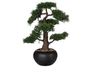 4003529985113 - Kunstpflanze CREATIV GREEN Bonsai Kunstpflanzen Gr B H 15 cm x 37 cm 1 St grün Künstliche Zimmerpflanzen