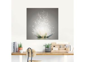 4062144162644 - Glasbild ARTLAND Magie der Lotus-Blume Bilder Gr B H 50 cm x 50 cm Blumen 1 St grau Glasbilder Bilder in verschiedenen Größen