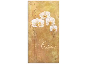 4055327288316 - Wandbild ARTLAND Filigrane Orchidee Bilder Gr B H 50 cm x 100 cm Leinwandbild Blumen 1 St beige (naturfarben) Bild Poster Bilder als Alubild Leinwandbild Wandaufkleber oder in versch Größen