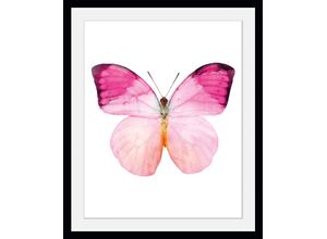 4049009846536 - Bild QUEENCE Jody Bilder Gr B H 50 cm x 70 cm Wandbild Schmetterlinge Hochformat 1 St rosa Bild Kunstdruck Bilder mit Rahmen