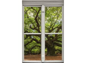 4049009175575 - Wandsticker QUEENCE Baum Wandtattoos Gr B H T 40 cm x 60 cm x 01 cm Natur beige (natur) Wandtattoos Natur