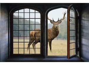 4049009045717 - Wandsticker QUEENCE Hirsch Wandtattoos Gr B H 60 cm x 40 cm Tiere bunt Wandtattoos Tiere