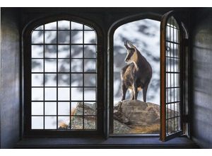4049009100003 - Wandsticker QUEENCE Berge Wandtattoos Gr B H 60 cm x 40 cm Natur bunt Wandtattoos Natur