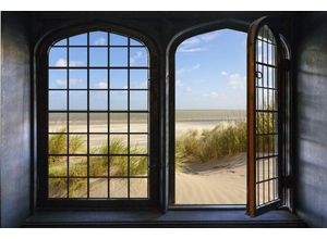 4049009067191 - Wandsticker QUEENCE Sylt Wandtattoos Gr B H 60 cm x 40 cm Natur bunt Wandtattoos Natur 4049009067191 - Wandsticker QUEENCE Sylt Wandtattoos Gr B H 60 cm x 40 cm Natur bunt Wandtattoos Natur