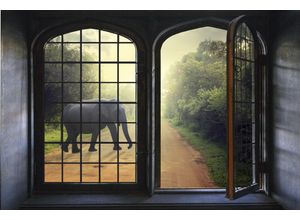 4049009530602 - Wandsticker QUEENCE Elefant Wandtattoos Gr B H 60 cm x 40 cm Tiere bunt Wandtattoos Tiere 4049009530602 - Wandsticker QUEENCE Elefant Wandtattoos Gr B H 60 cm x 40 cm Tiere bunt Wandtattoos Tiere