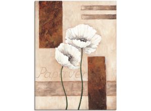 4055327154086 - Wandbild ARTLAND Papaver - Mohnblumen Bilder Gr B H 60 cm x 80 cm Leinwandbild Blumenbilder Hochformat 1 St beige (naturfarben) Kunstdrucke als Alubild Leinwandbild Wandaufkleber oder Poster in versch Größen