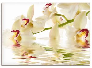 4055327237635 - Wandbild ARTLAND Weiße Orchidee mit Wasserreflektion Bilder Gr B H 70 cm x 50 cm Leinwandbild Blumen Querformat 1 St weiß Bild Poster Bilder als Leinwandbild Wandaufkleber oder in versch Größen