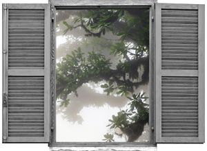 4049009363378 - Wandtattoo QUEENCE Asiatischer Baum Wandtattoos Gr B H T 80 cm x 60 cm x 01 cm Natur bunt Wandtattoos Natur