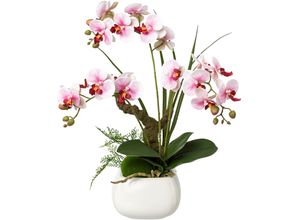 4064118137023 - Kunstorchidee CREATIV GREEN Deko-Orchidee Phalaenopsis im Keramiktopf lila Kunstpflanzen B H L 20cm x 46cm x 20cm Obermaterial 95% Polyethylen 5% Polyester B20cm H46cm L20cm