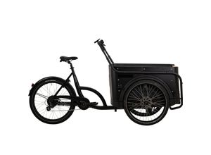 4015848110633 - BBF eCargorider 31 Royal Lastenrad 26 24 Zoll Elektro Lastenfahrrad Cargo Bike Damen Herren Cargo Cycle bis 132 kg Zuladung schwarz