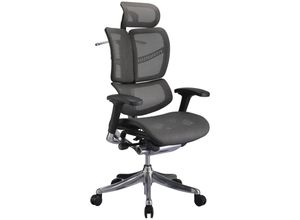 0710144651746 - Bürostuhl Norman Ergonomic mit Netzbezug Grau