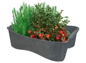 9120093420156 - U-greeny Pflanzbox Multibox Stein