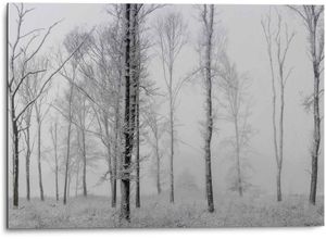 8714597612356 - Wandbild REINDERS Aluminium Still Natur - Schwarz-Weiss Wald Bäume Bilder Gr B H 70 cm x 50 cm Stillleben 1 St schwarz (schwarz weiß) Kunstdrucke